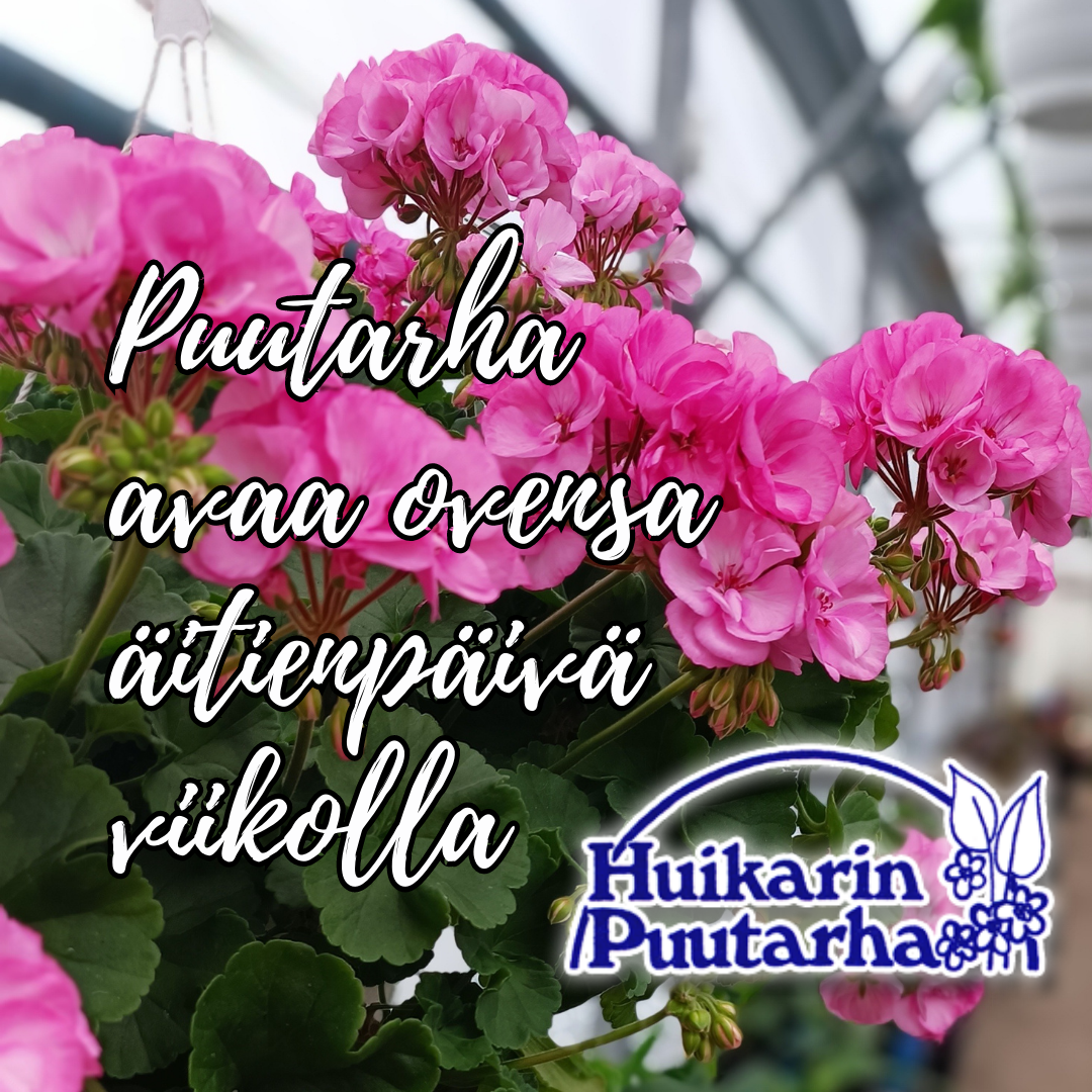 Puutarha aukeaa :: Huikarin Puutarha Puutarha aukeaa :: Huikarin Puutarha